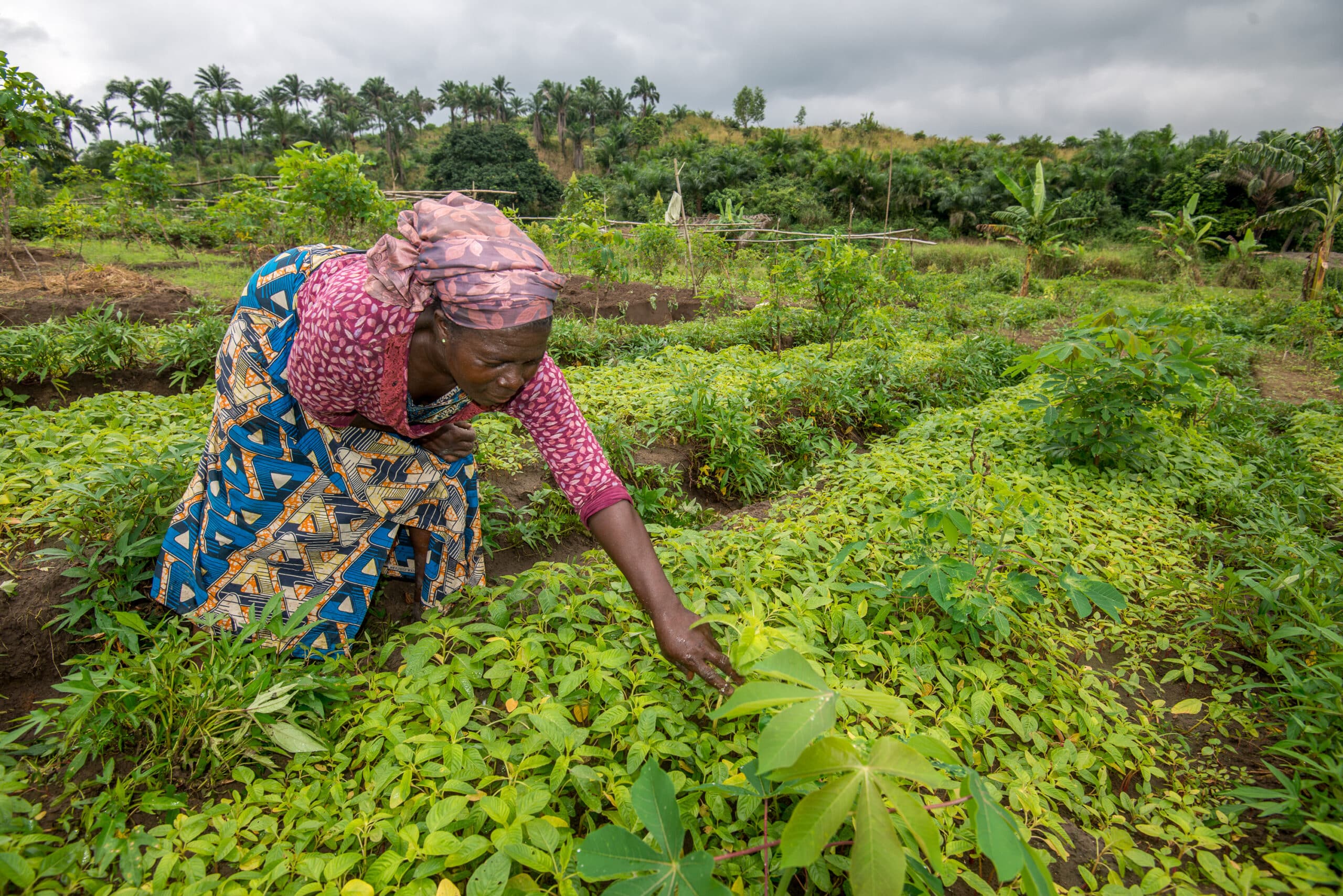 Community Development | Friends of Bonobos
