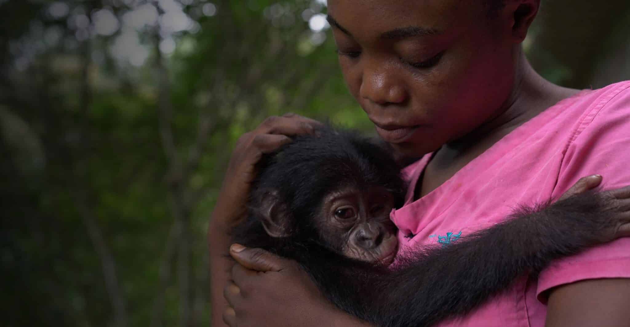 Our Strategy - Friends of Bonobos Bonobo Conservation Strategy ...