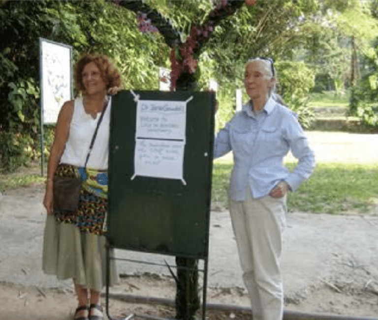 The Legacy of the Trimates: Honoring the Women Behind Great Ape ...