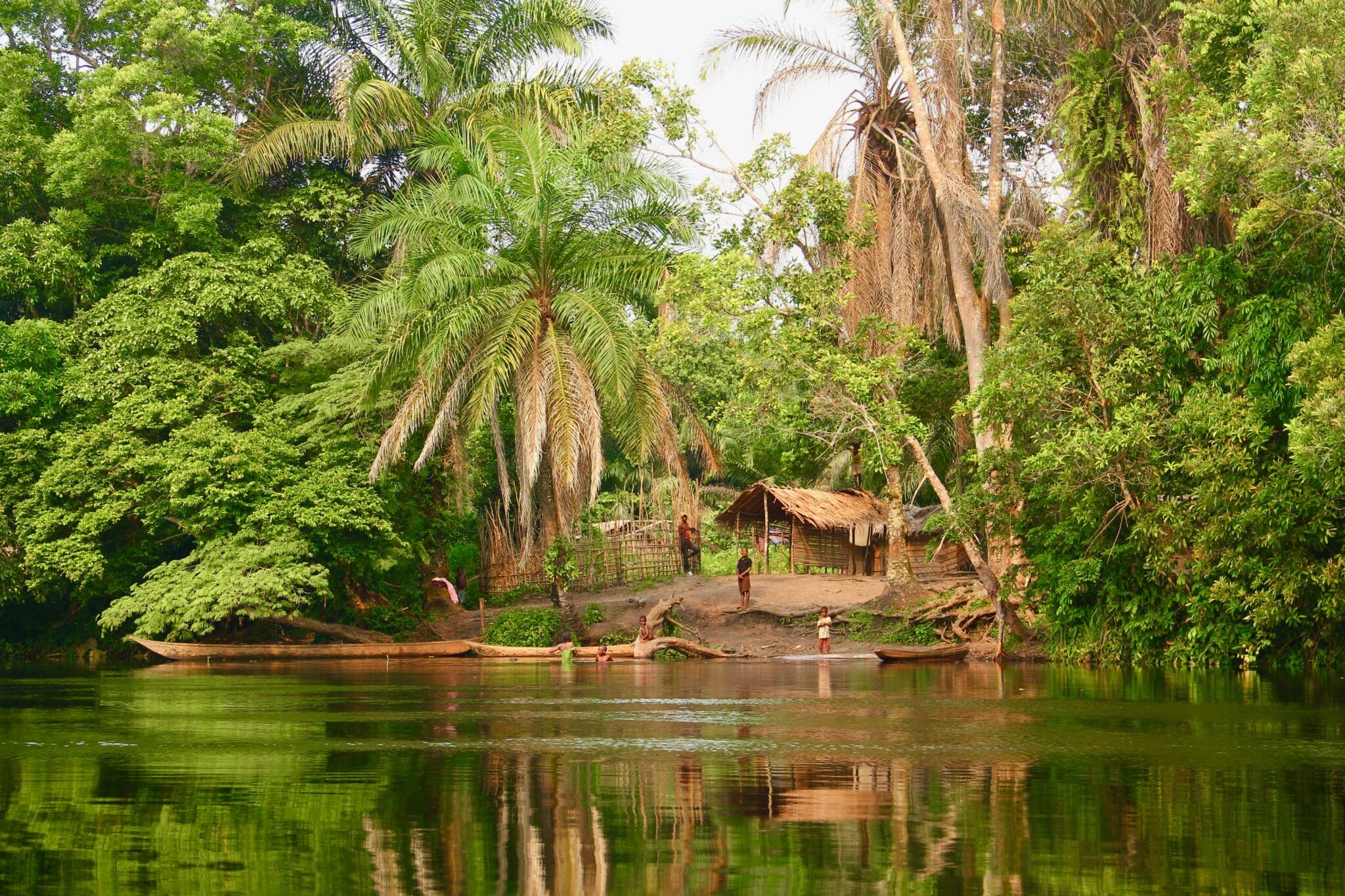 Ebola in the DRC - Friends of Bonobos
